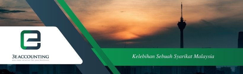 Kelebihan Sebuah Syarikat Malaysia - Satu Tinjauan