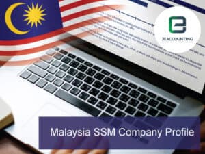 Malaysia SSM Company Profile - Uses & Available Features