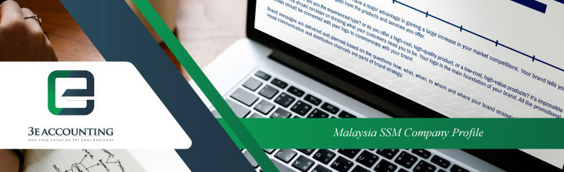 Malaysia SSM Company Profile - Uses & Available Features