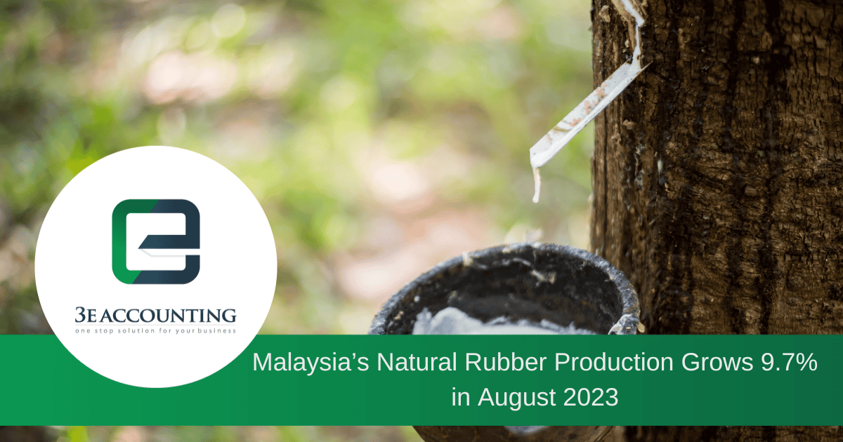 Malaysia’s Natural Rubber Production Grows 9.7% in August 2023