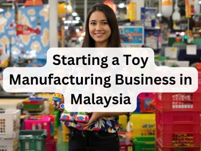 Toy Manufacturing Business: 4 Proven Steps